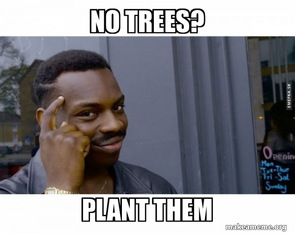 NO TREES? PLANT THEM - Roll Safe Black Guy Pointing at His Head Meme ...