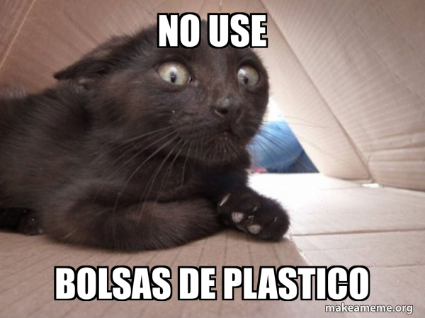 no use bolsas de plastico - Schitzo Cat Meme Generator