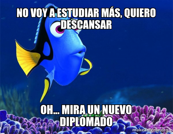 No voy a estudiar más, quiero descansar oh... mira un nuevo diplomado ...