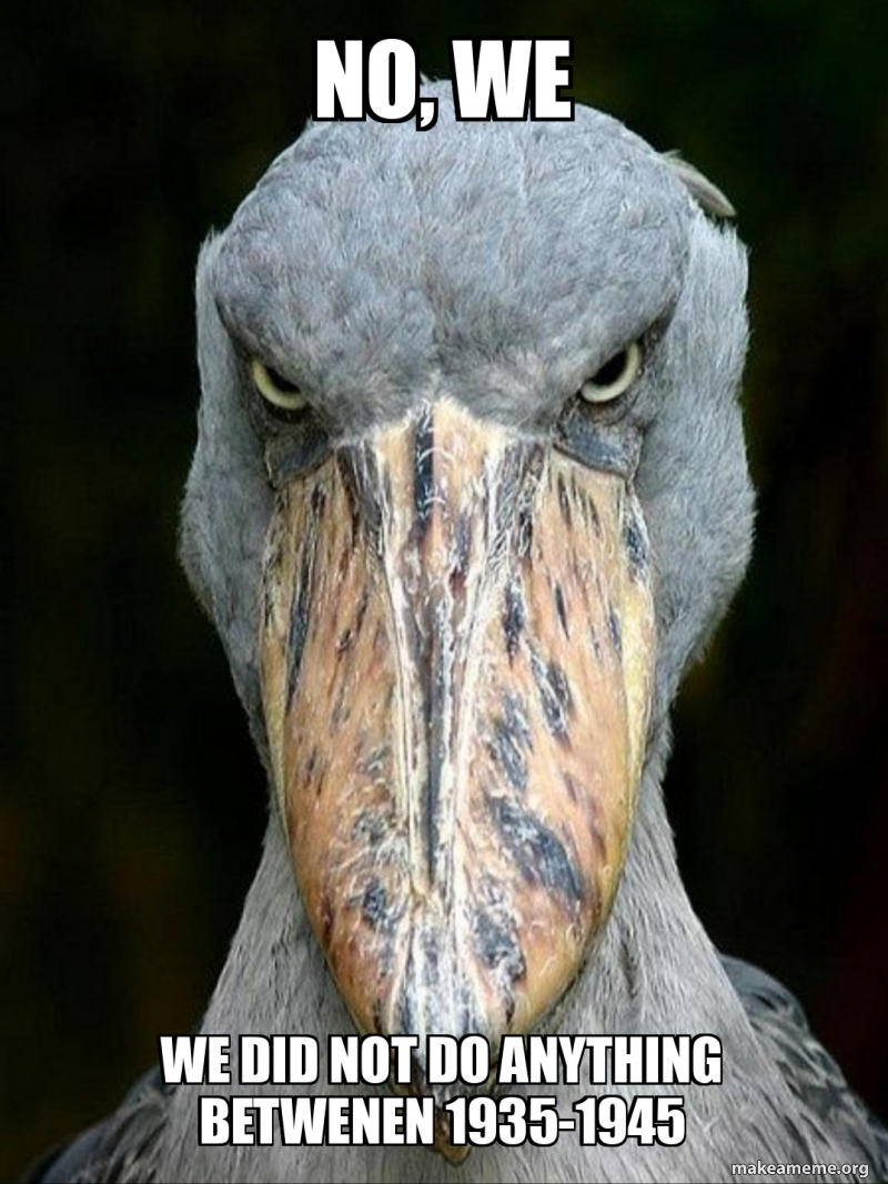 No, we we did not do anything betwenen 1935-1945 Meme Generator