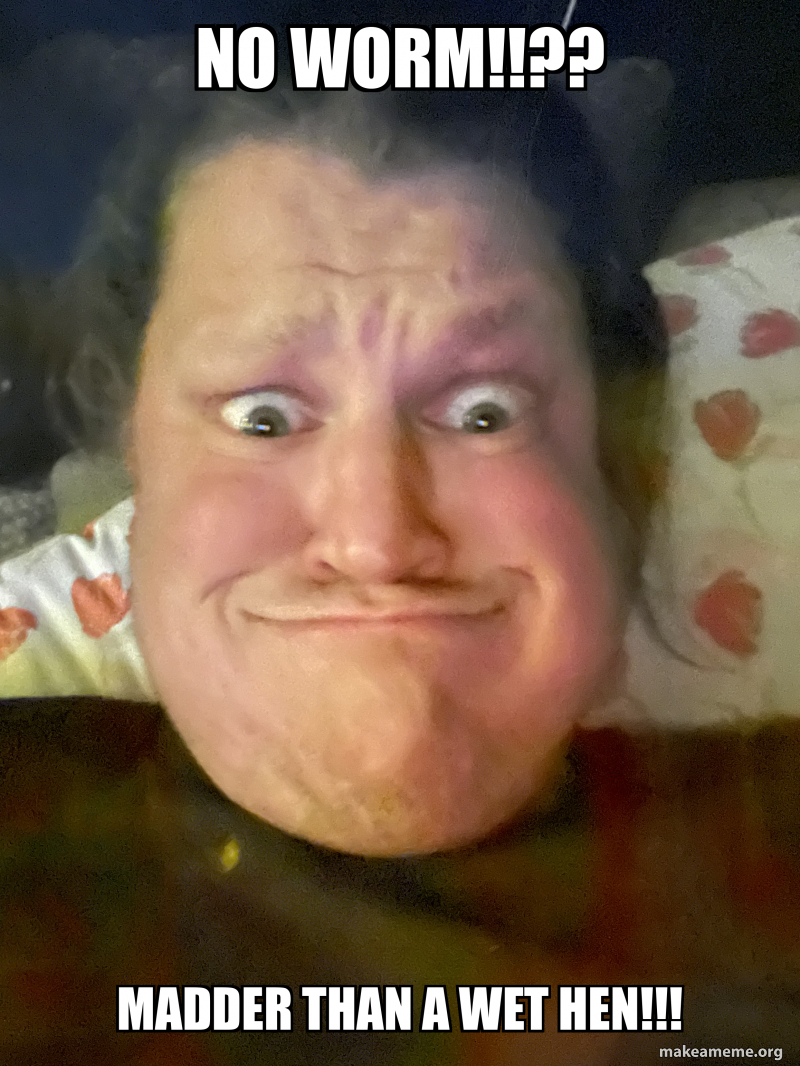 No worm!!?? Madder than a wet hen!!! Meme Generator