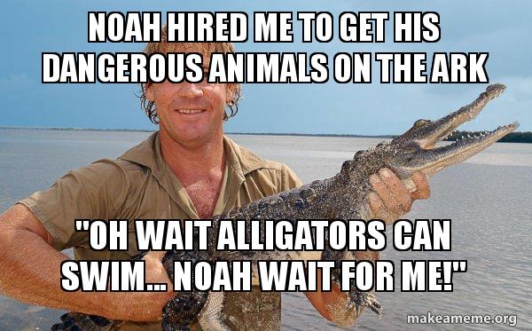 Na Guys Eile Memes Gator Memebase Alligator Page 4 All Your