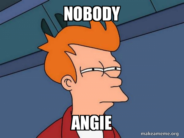 nobody Angie - Futurama Fry Meme Generator