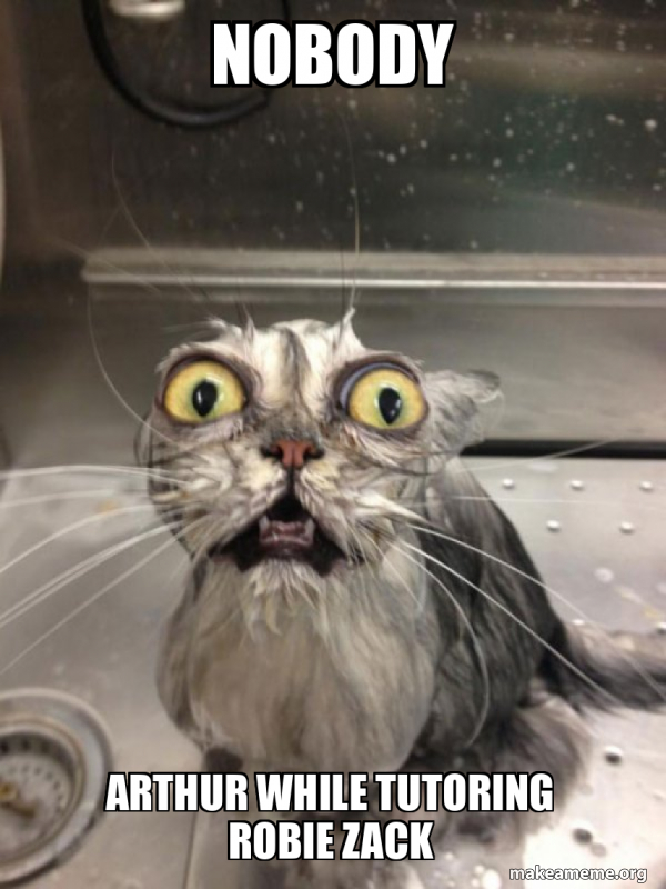 NOBODY Arthur while tutoring Robie Zack - Cat bath Meme Generator