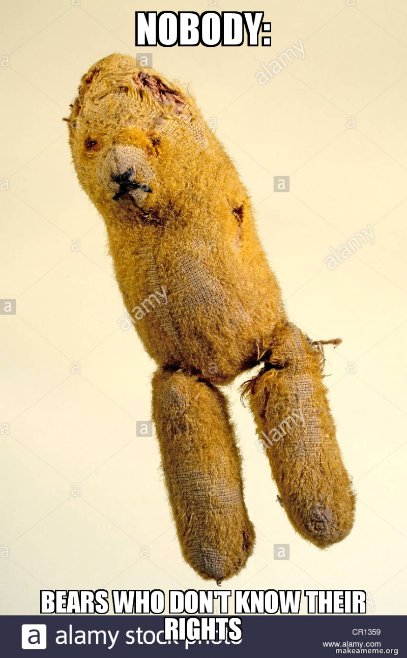 Nobody: Bears who don't know their rights Meme Generator