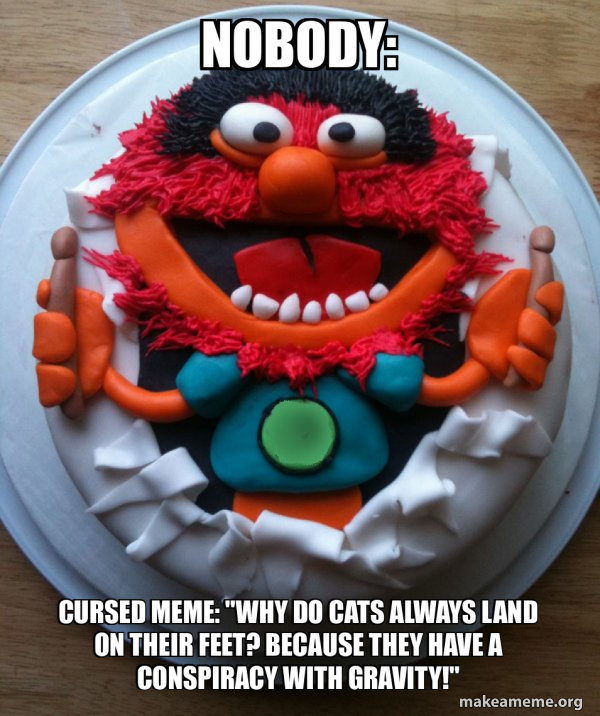 nobody: cursed meme: "Why do cats always land on their feet? Because ...