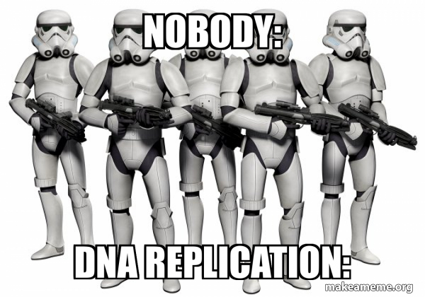 nobody: DNA Replication: - Storm Troopers Meme Generator