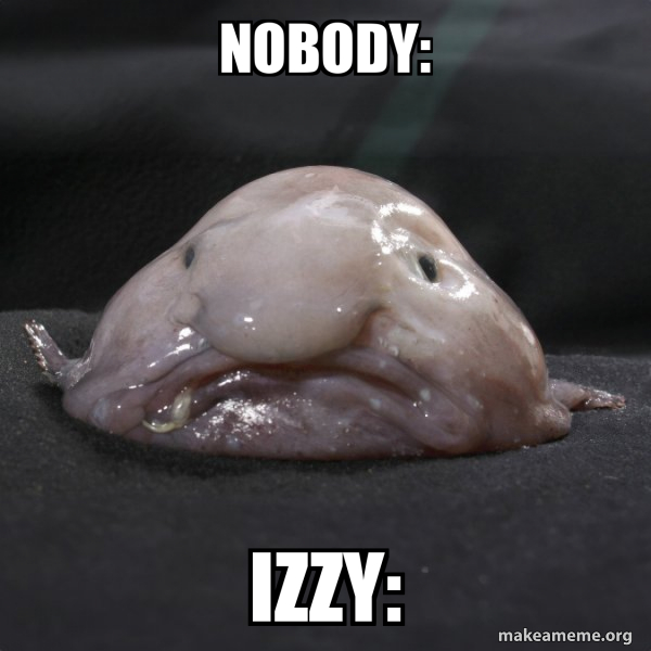 Nobody: Izzy: - Blobfish Meme Generator