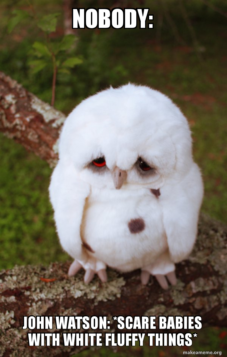 Nobody: John Watson: *scare babies with white fluffy things* - Sad Owl ...