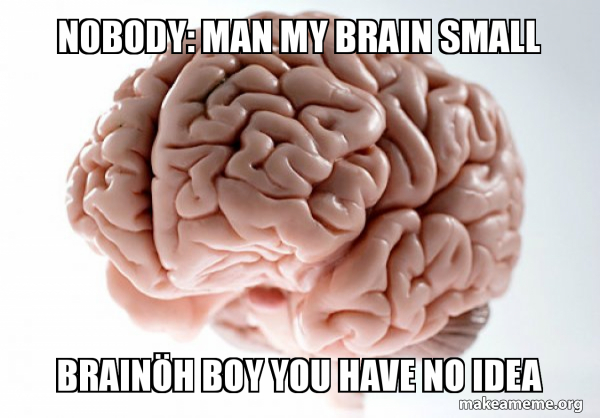 Nobody: MAN my brain small BRAINÃ¶h boy you have no idea - Scumbag ...