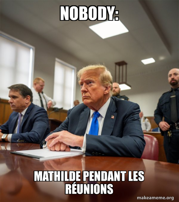 Nobody: Mathilde pendant les réunions - Trump Court Room Meme Generator