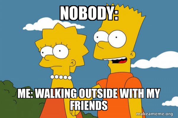 Nobody: Me: walking outside with my friends - Bart and Lisa Chat Meme ...