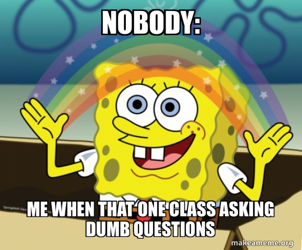 Nobody: Me when that one class asking dumb questions - Rainbow ...