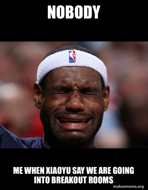 Nobody Me When Xiaoyu Say We Are Going Into Breakout Rooms - Lebron ...