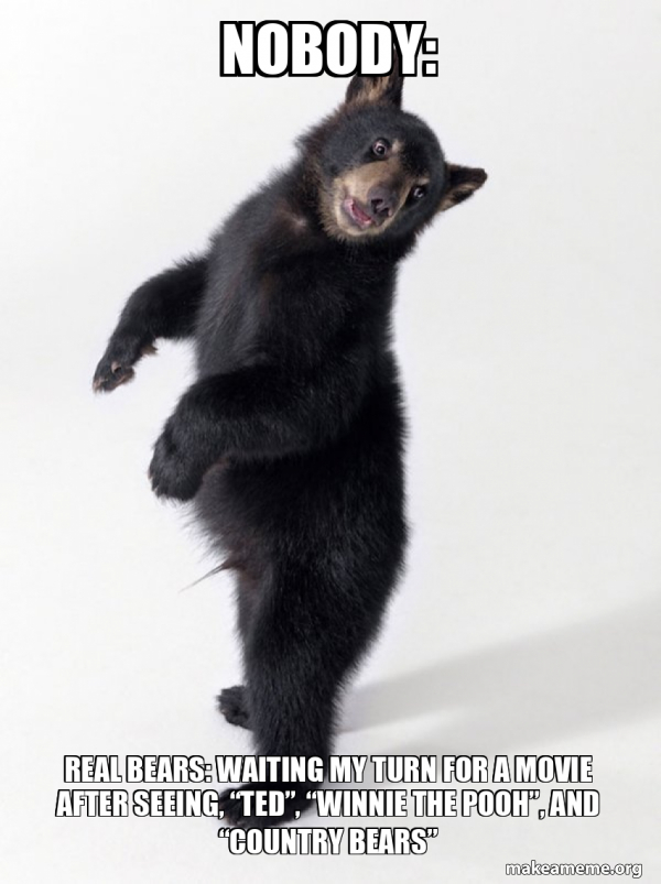 Nobody: Real Bears: Waiting my turn for a movie after seeing, “Ted ...