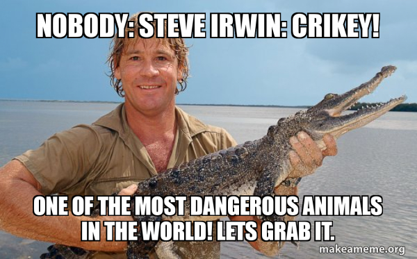 Nobody: Steve Irwin: CRIKEY! One of the most dangerous animals in the ...