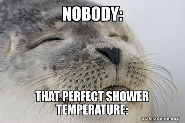 nobody: that perfect shower temperature: - Satisfied Seal Meme Generator