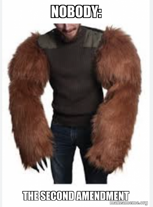 Nobody: The second amendment Meme Generator