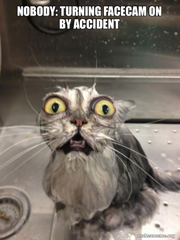 Nobody: turning facecam on by accident - Cat bath | Make a Meme