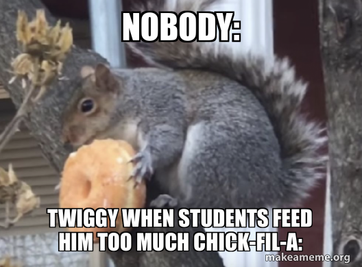 Nobody: twiggy when students feed him too much chick-fil-a: Meme Generator