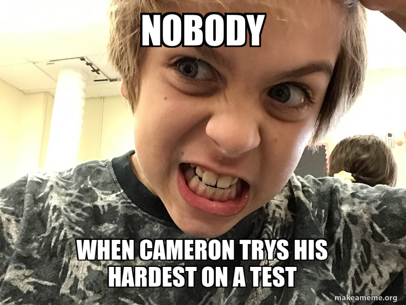 Nobody When cameron trys his hardest on a teSt Meme Generator