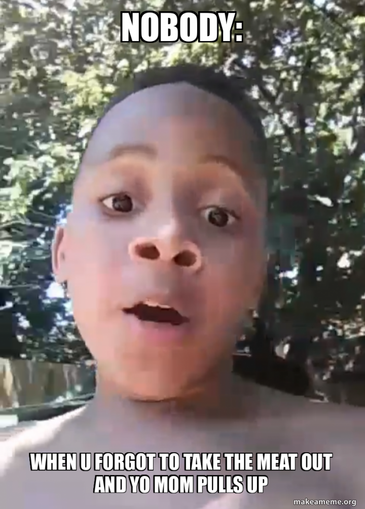 Nobody: When u forgot to take the meat out and yo mom pulls up Meme ...