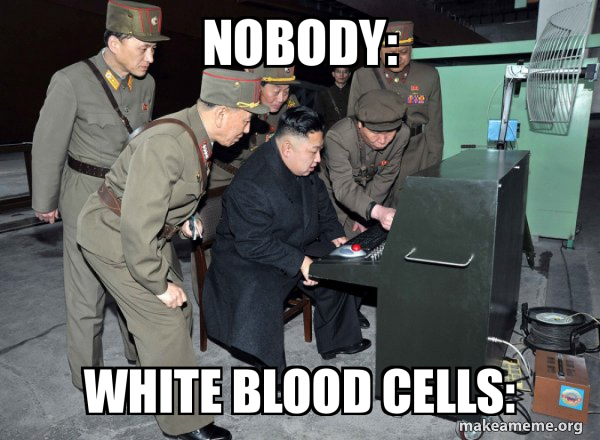 nobody: white blood cells: - North Korea Not Scary Meme Generator