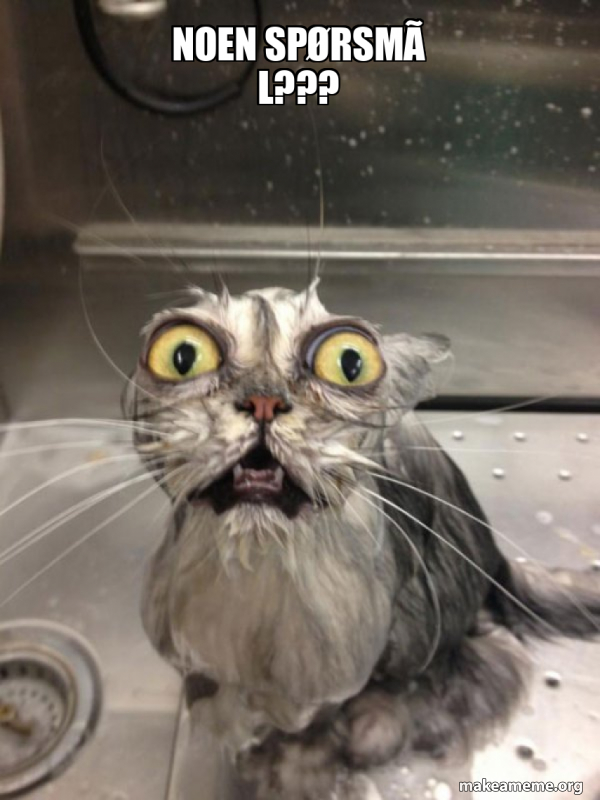 Noen spørsmål??? - Cat bath Meme Generator