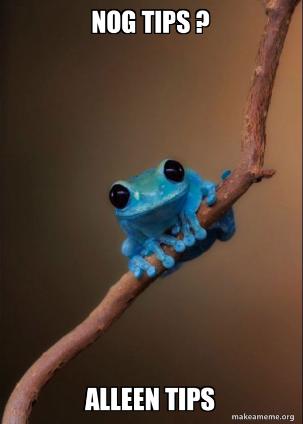 Nog tips ? ALLEEN TIPS - Small Fact Frog Meme Generator