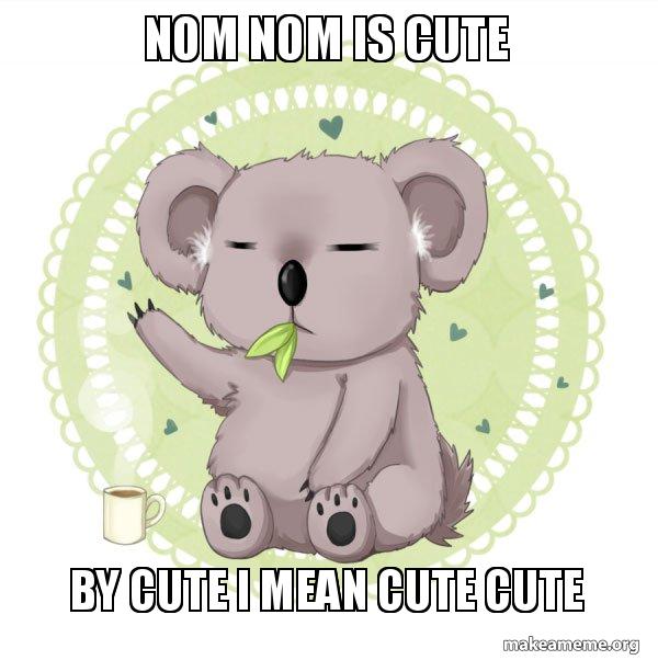 Nom nom is cute By cute I mean cute cute - Aussie Koala doing the night shift Meme Generator