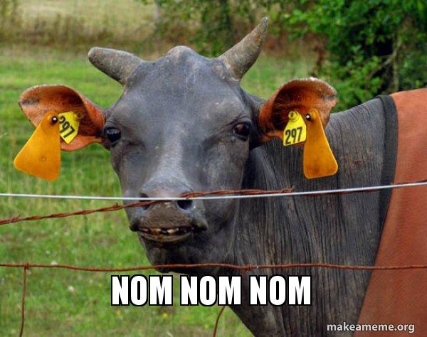NOM NOM NOM - Hairless Cow Meme Generator