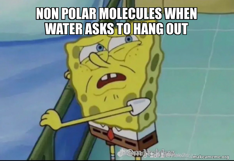non polar molecules when water asks to hang out Meme Generator
