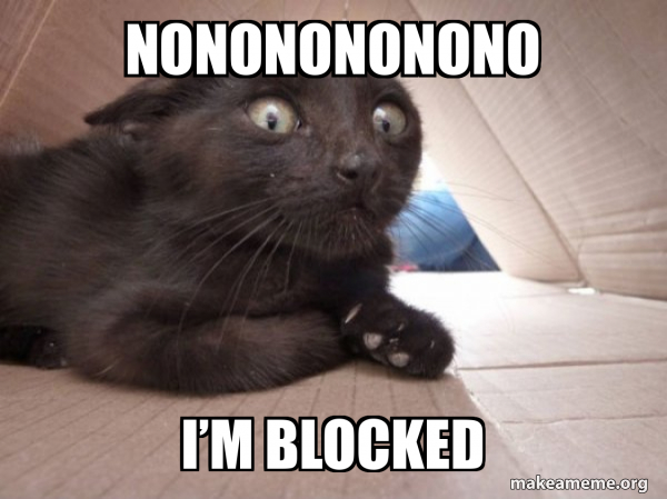 Nononononono I’m blocked - Schitzo Cat Meme Generator