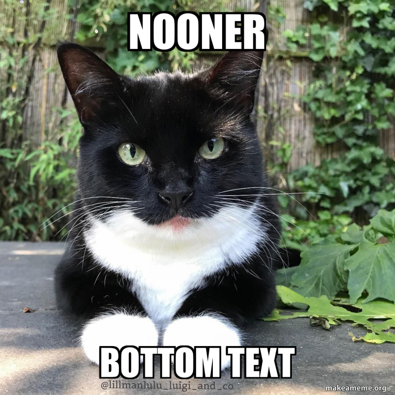 Nooner Bottom text Meme Generator