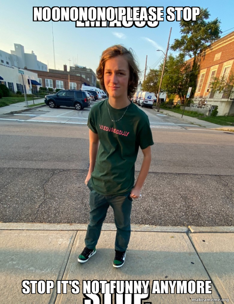 NOONONONO PLEASE STOP STOP IT'S NOT FUNNY ANYMORE Meme Generator