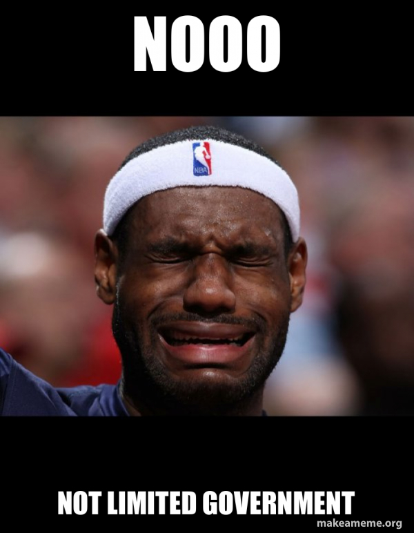NOOO Not limited government - Lebron Crying Meme Generator