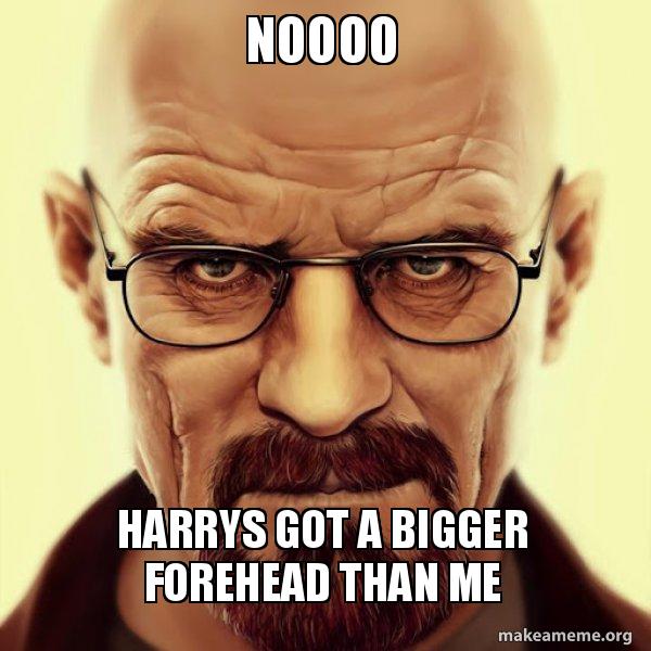 NOOOO HARRYS GOT A BIGGER FOREHEAD THAN ME - Walter White Breaking Bad ...