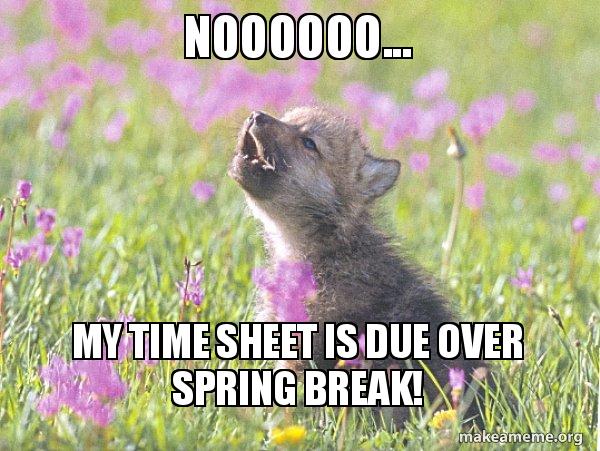 NOOOOOO... MY TIME SHEET IS DUE OVER SPRING BREAK! - Baby Insanity Wolf ...