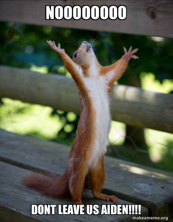 NOOOOOOOO Dont leave us aiden!!!! - Happy Squirrel Meme Generator