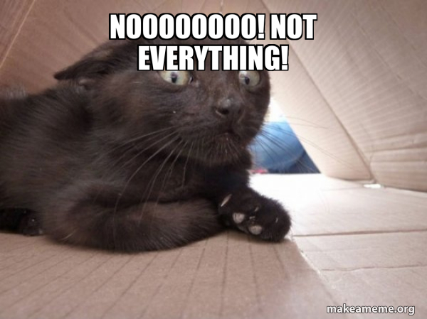 Noooooooo! Not everything! - Schitzo Cat Meme Generator