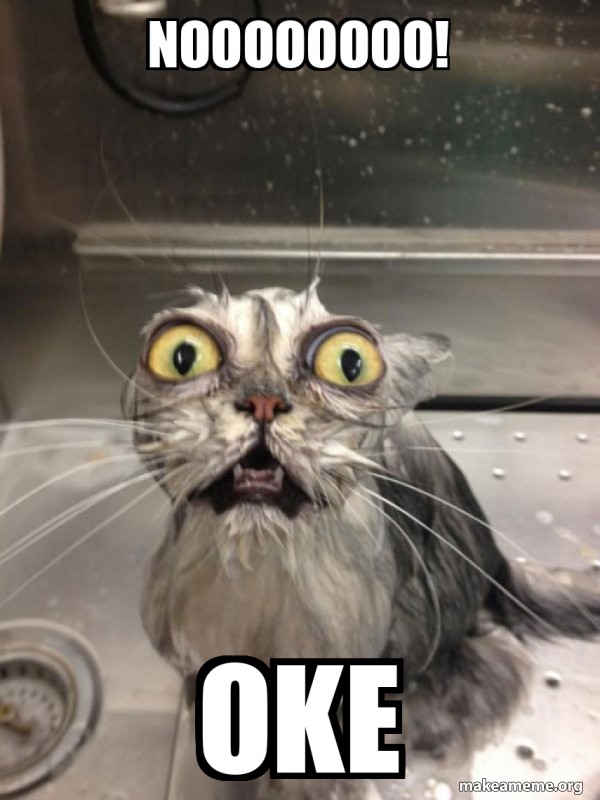 noooooooo! oke - Cat bath Meme Generator