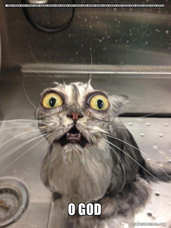 NOOOOOOOOOOOOOOOOOOOOOOOOOOOOOOOOOOOOOOOOOOOOOOOOOOOOOOOOOOOOOOOOOOOOOO ...