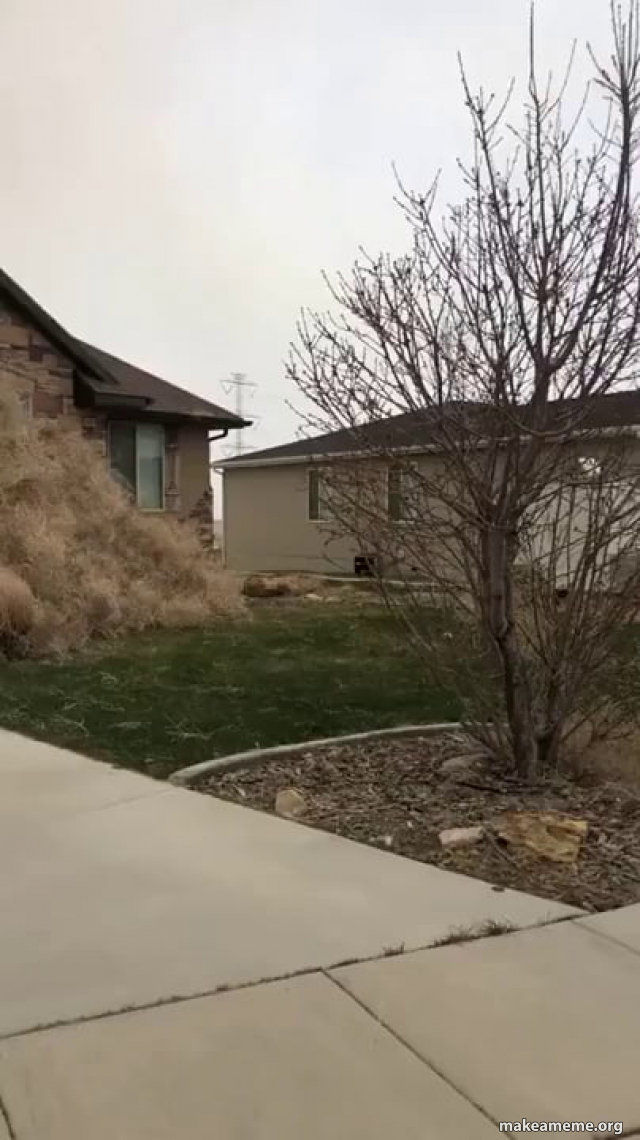 - Normal day in Utah Meme Generator