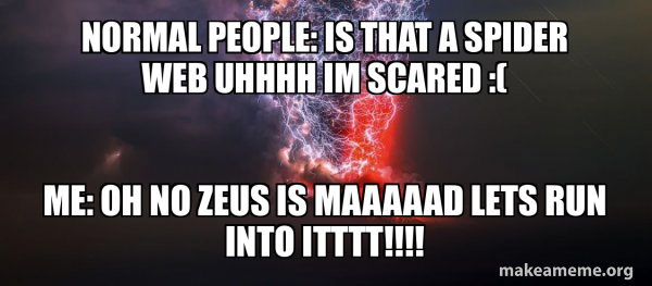 normal people: is that a spider web uhhhh im scared :( me: OH NO ZEUS ...