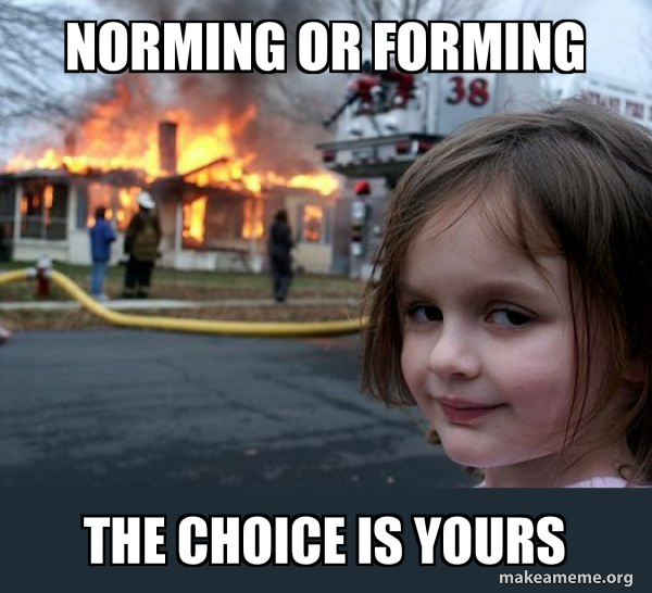 Norming or Forming The choice is yours - Disaster Girl Meme Generator