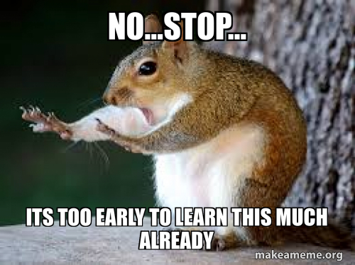 No…Stop… Its too early to learn this much already Meme Generator