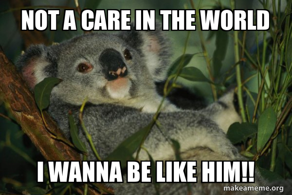 not a care in the world I wanna be like him!! - Laid Back Koala Meme ...