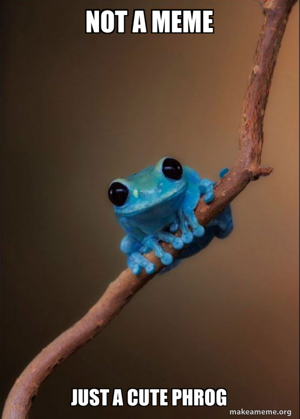 not a meme just a cUte phrog - Small Fact Frog Meme Generator