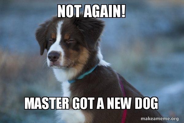 Dog Master Memes