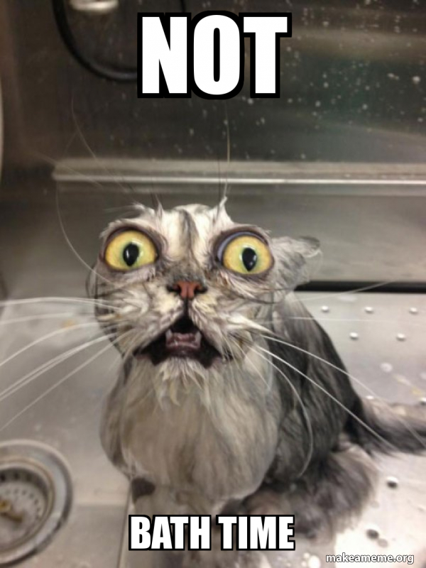 NOT BATH TIME - Cat bath Meme Generator